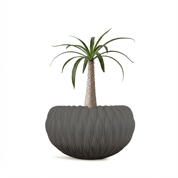 Fire-Resistant Planters for Rooftops and Commercial Buildings: What Ar ...